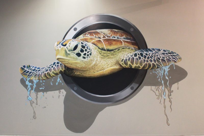 Test your creativity at Rotorua attractions. Enjoy 3D Trick Art Gallery