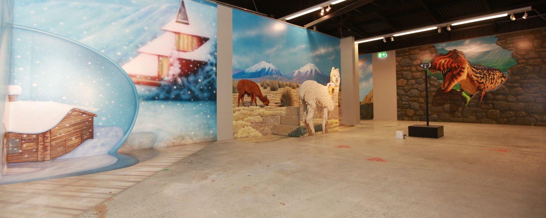 Rotorua Attractions_3DTrickArt_02 - 3D Trick Art Gallery