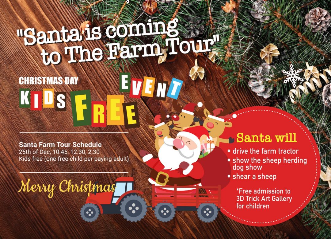 What Christmas events are there in Rotorua? - 3D Trick Art Gallery